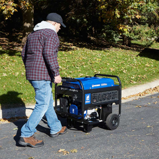 Powerhorse Generator | 13,000 Watts Surge | Portable | E/S | 799215 ...