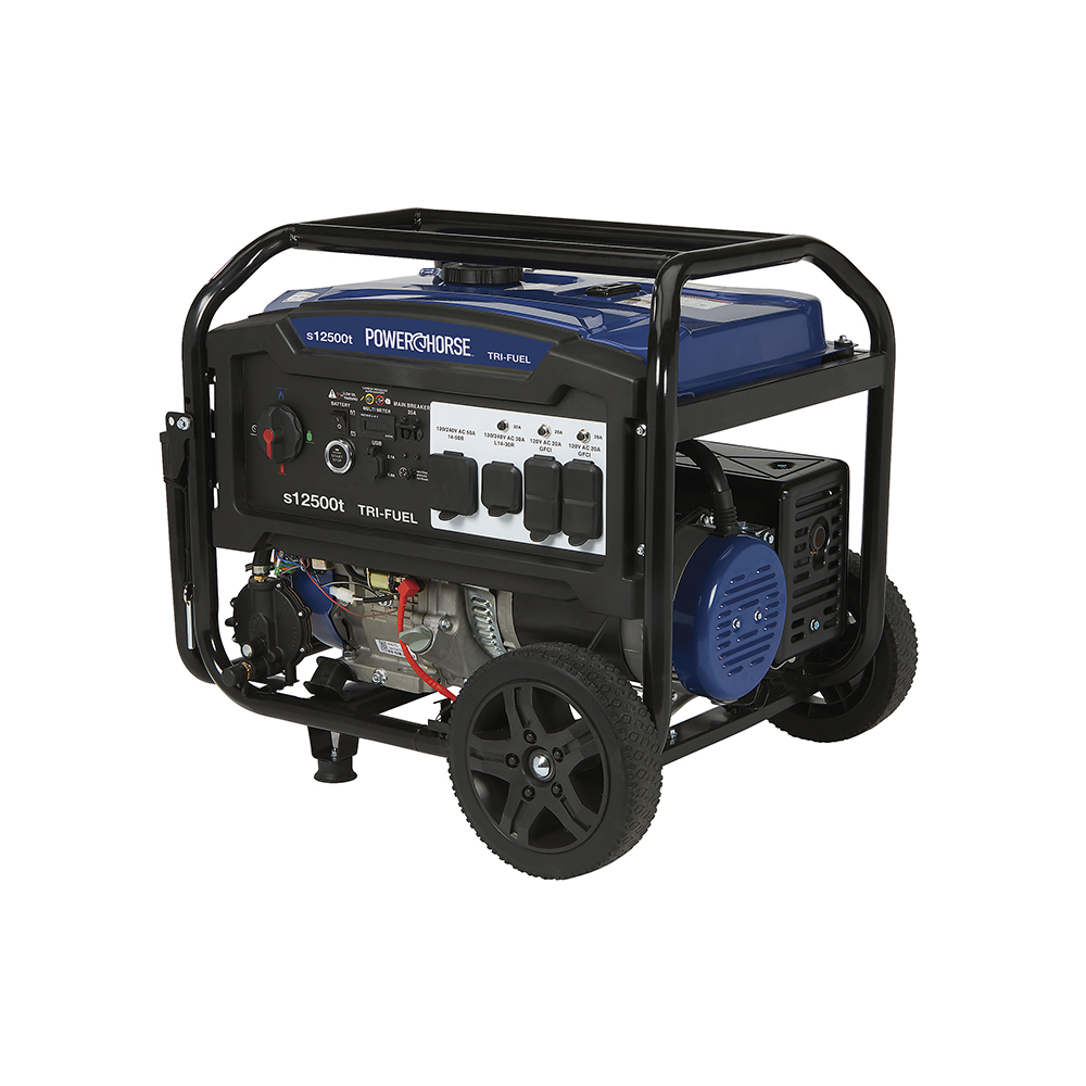 Powerhorse Generator | 13,000 Surge Watt | Dual Fuel | Electric Start ...